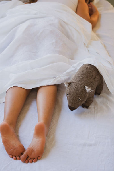 Wally the Wombat - Nana Huchy