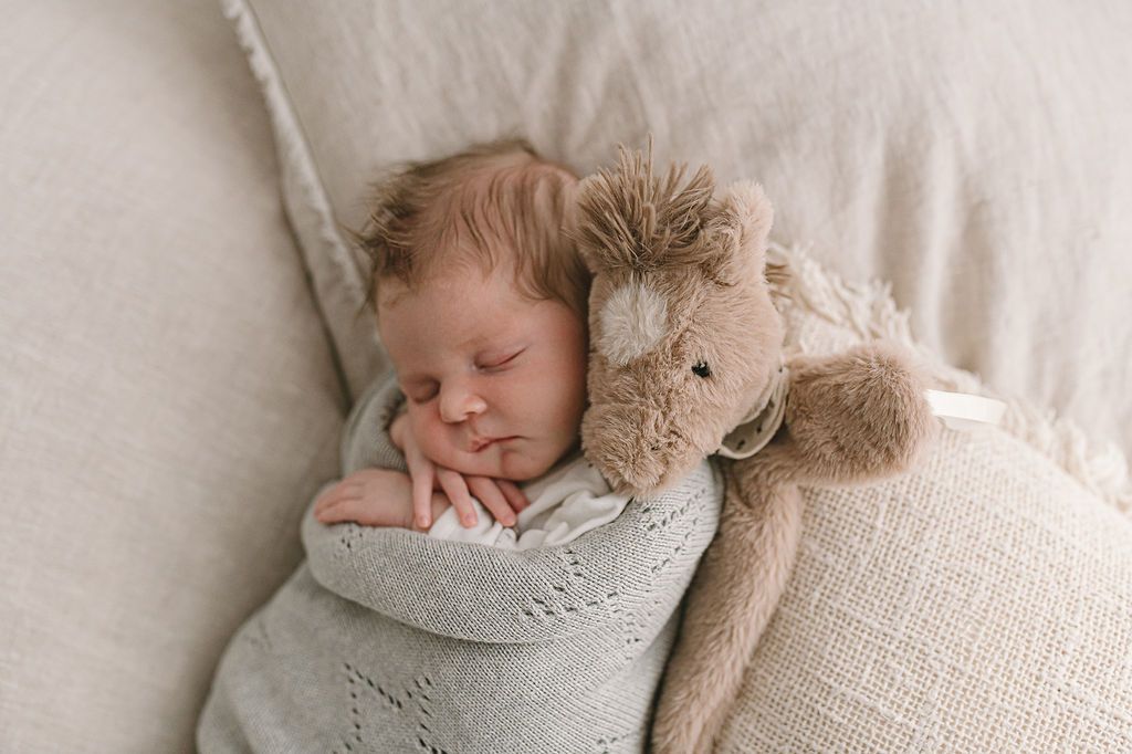 Harvey the Horse Hoochy Coochie - Nana Huchy