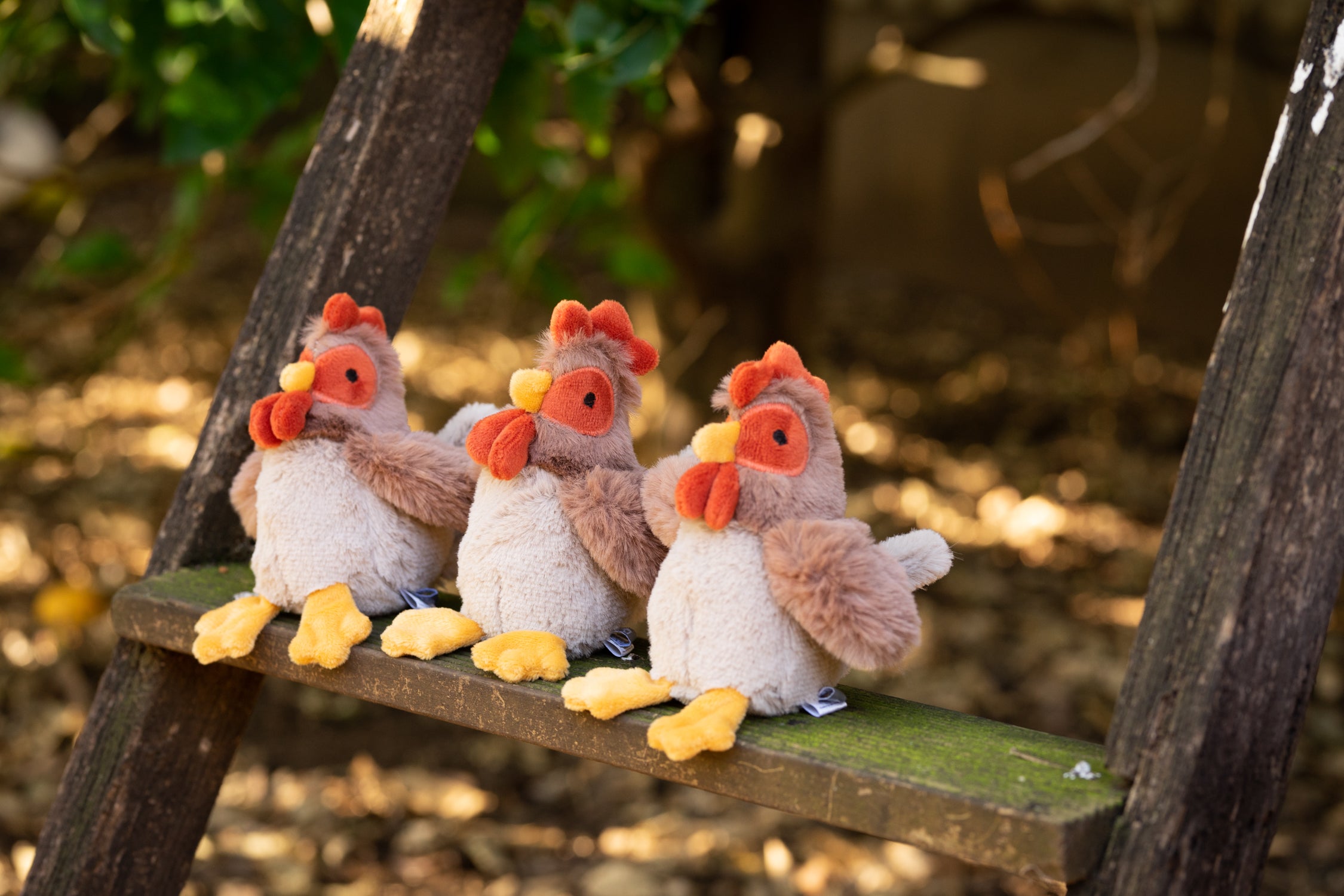 Buy Bubba Rooster Rattle Online at Nana Huchy™️