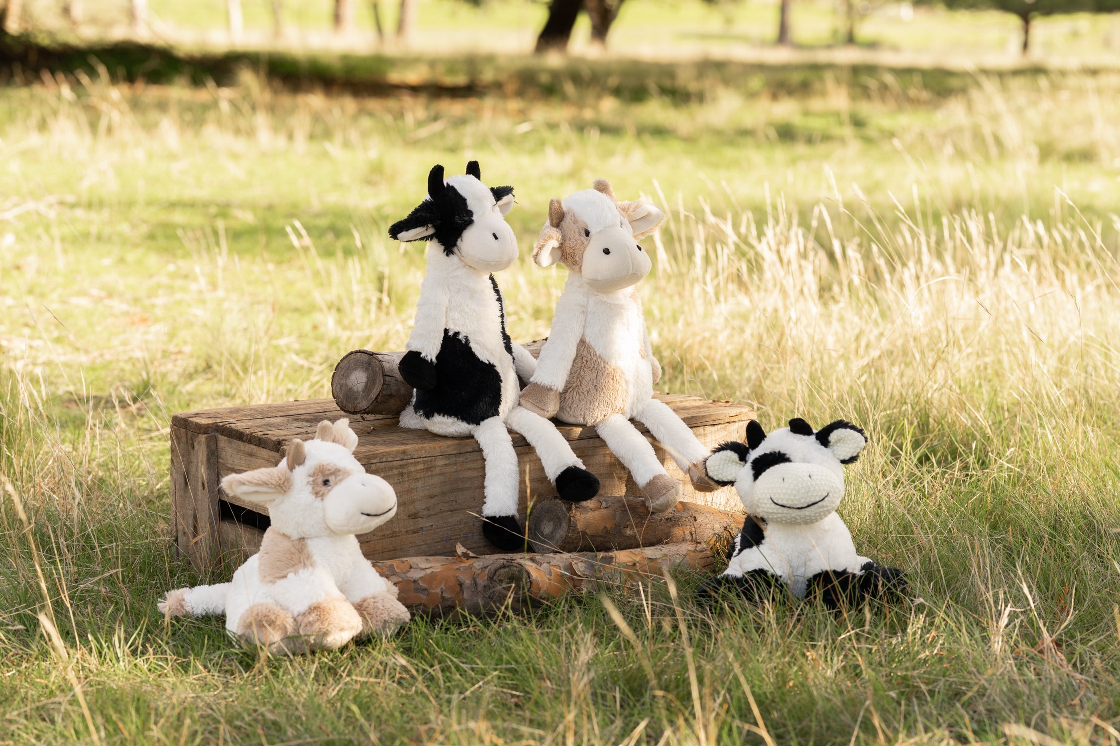 Clover & Coco Set - Black - Nana Huchy