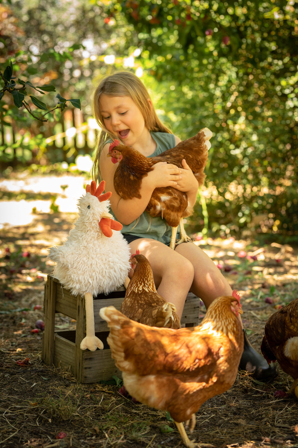 Buy Roy the Rooster Online at Nana Huchy™️