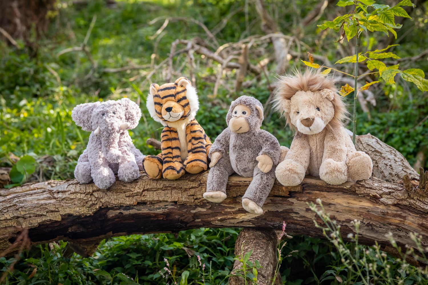 The Jungle Bundle - Nana Huchy